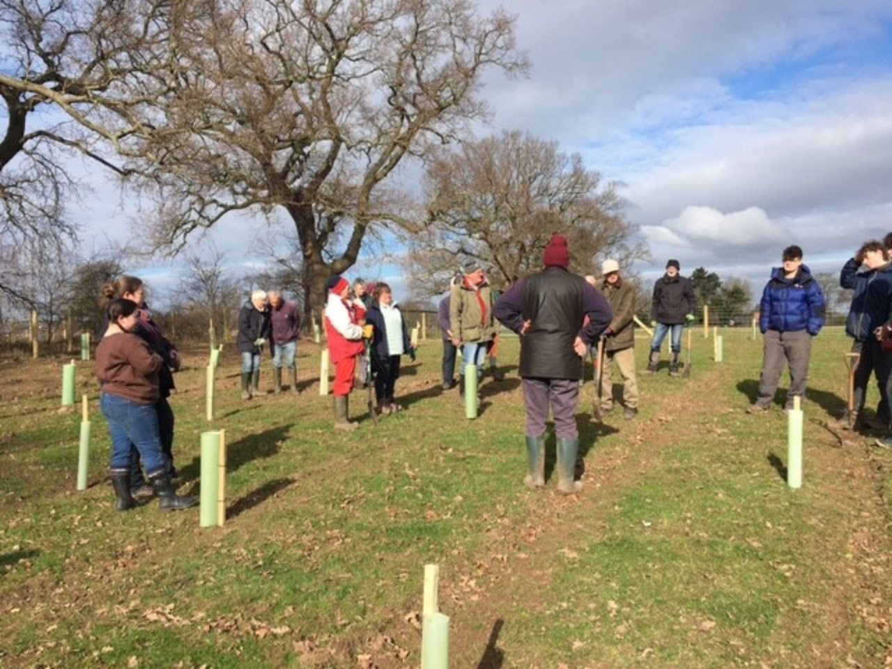 Bolesworth Memorial Wood Tree Planting - Liverpool Chamber of Commerce