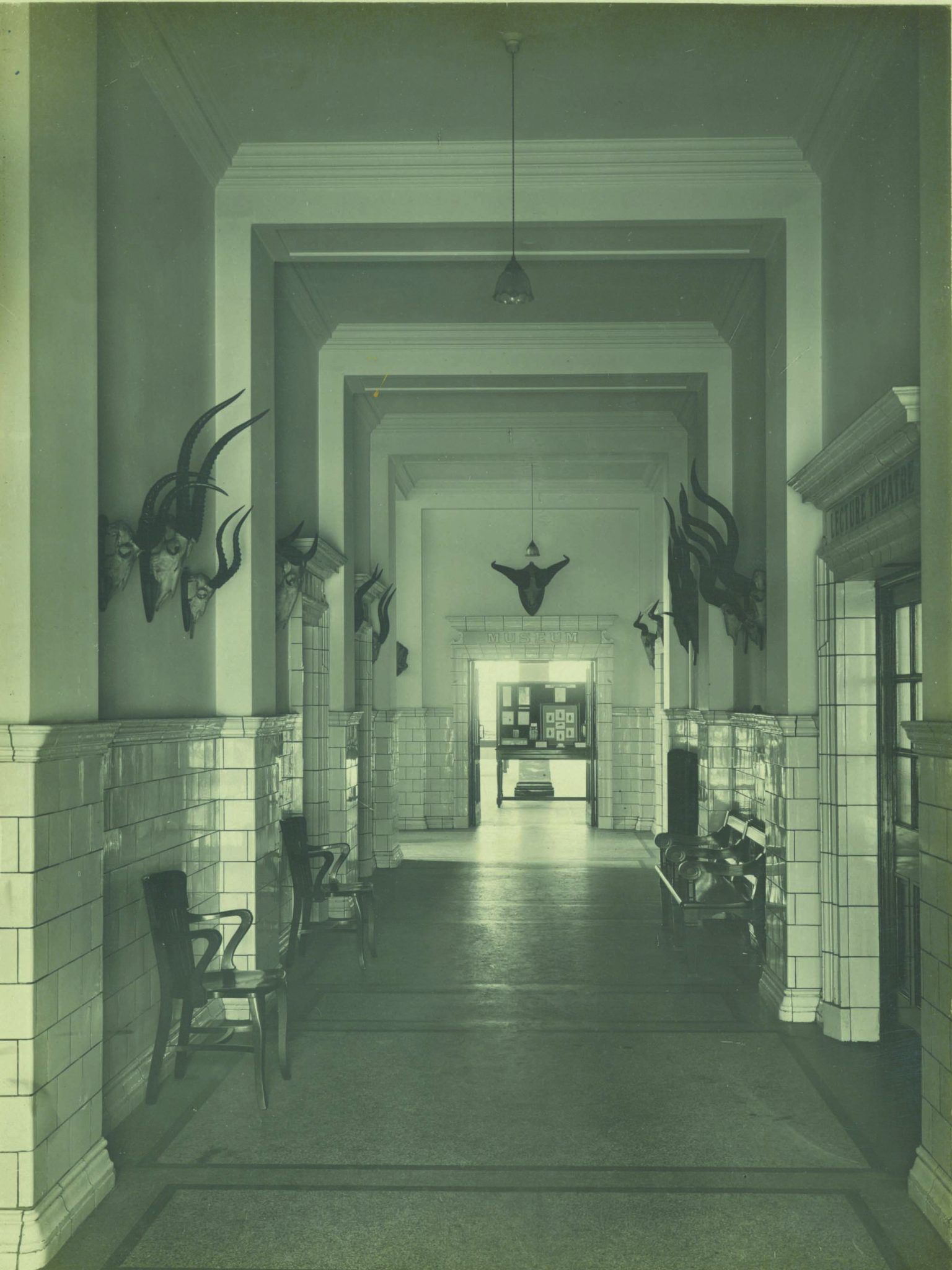 Gallery: Take a tour of Liverpool School of Tropical Medicine in the ...