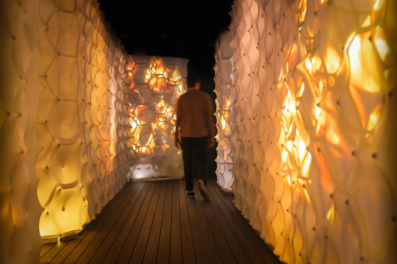 STUNNING new images released ahead of World Bee Day reveal fusion of ...